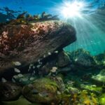 Guided Snorkel Tour at Australias most iconic beach - Who Would Love This Experience?