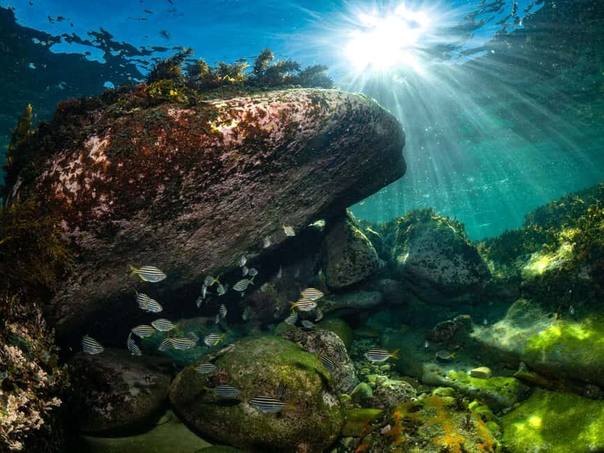 Guided Snorkel Tour at Australias most iconic beach - Who Would Love This Experience?