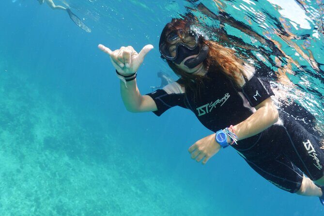 Guided Snorkel Tour - Key Points
