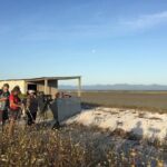 Guided Tour at Pukorokoro Shorebird Centre - Stop 1: Robert Findlay Wildlife Reserve