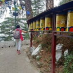 Guided Tour: Himachal Heritage - Art, Tea, Pottery & Culture - A Full Breakdown of the Himachal Heritage Tour