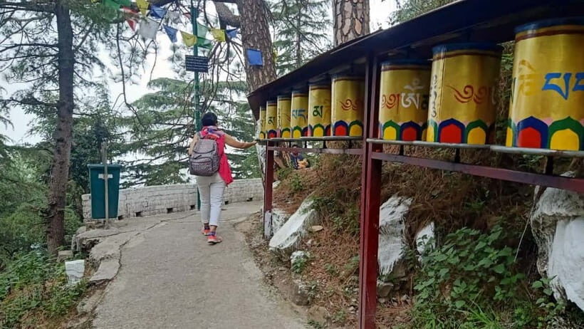 Guided Tour: Himachal Heritage - Art, Tea, Pottery & Culture - A Full Breakdown of the Himachal Heritage Tour