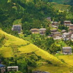 Guilin Longji: Rice Terrace with Oil-Tea Demo & Zhuang Lunch - What the Reviews Say