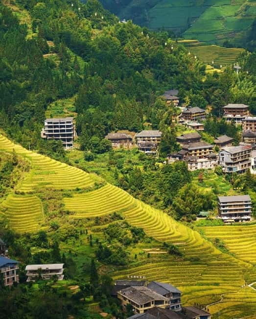 Guilin Longji: Rice Terrace with Oil-Tea Demo & Zhuang Lunch - What the Reviews Say