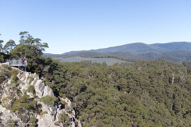 Gunns Pains Caves Sightseeing Tour - Detailed Breakdown of the Itinerary