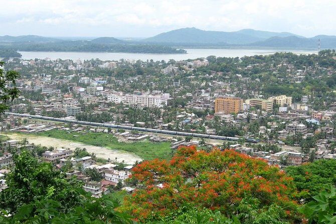 Guwahati Kamakhya Temple Day Tour - What Travelers Say: A Balance of Praise and Caution