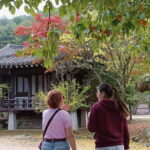 Gyeongbuk Day Trip: Omija Ssamjang Making & Mungyeong Trek - The Practical Side: Transportation, Duration, and Cost
