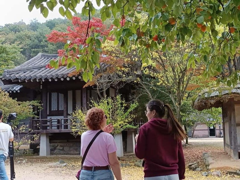 Gyeongbuk Day Trip: Omija Ssamjang Making & Mungyeong Trek - The Practical Side: Transportation, Duration, and Cost