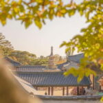 Gyeongju: Private Car Tour with a Licensed Tour Guide - A Deep Dive into the Experience