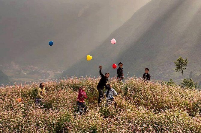 Ha Giang advanture 3 days 2 nights - Final Thoughts