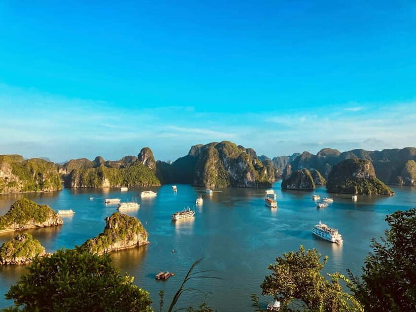 Ha Long Bay Day Cruise: Surprising Cave and Titov Island - The Itinerary in Detail