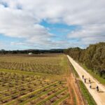Hahndorf food and wine E-Bike Tour - Value for Money: Is It Worth It?