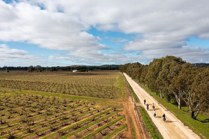 Hahndorf food and wine E-Bike Tour - Value for Money: Is It Worth It?