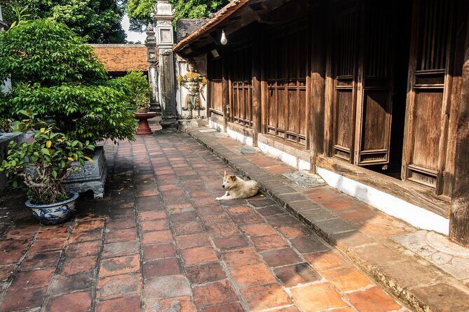 Hai Phong Highlights: Cultural & Historical Walking Tour - Experience and Practicality