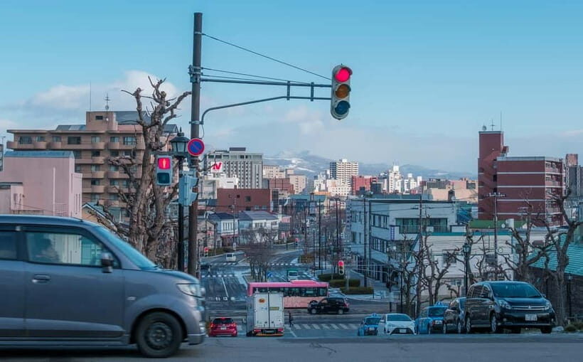 Hakodate Highlights Shore Excursion (5h) for Cruise Guests - Why This Tour Offers Great Value