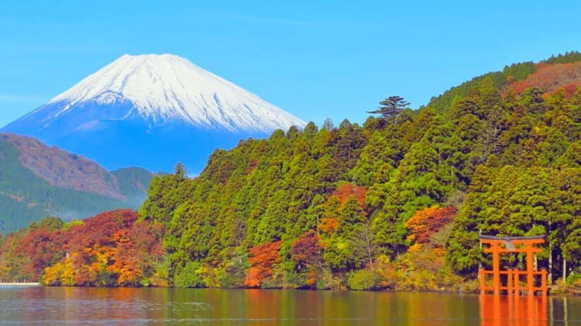 Hakone: Private Tour from Tokyo to Hakone in Spanish - An Authentic Day in Hakone: What You Can Expect