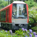 Hakone: Train Pass with Unlimited Rides & Activity Discounts - Who It’s Best For