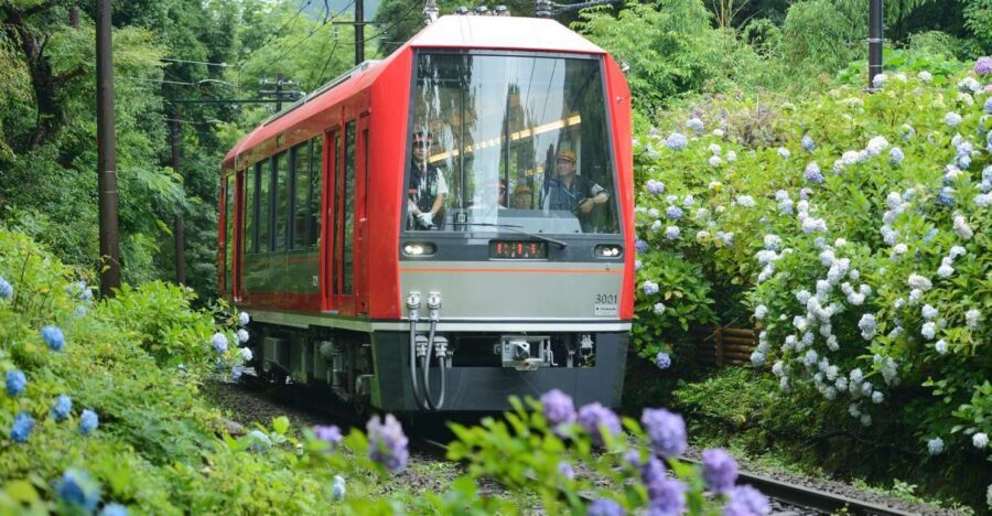 Hakone: Train Pass with Unlimited Rides & Activity Discounts - Who It’s Best For