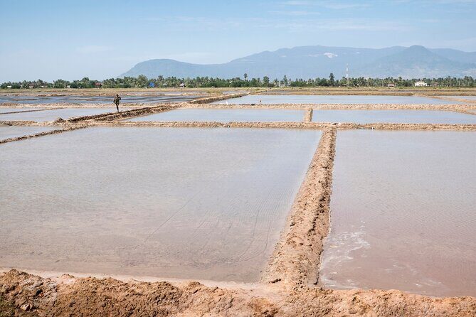 Half-Day Adventure to the Pepper Farm by Scooter - What Makes This Tour Stand Out?