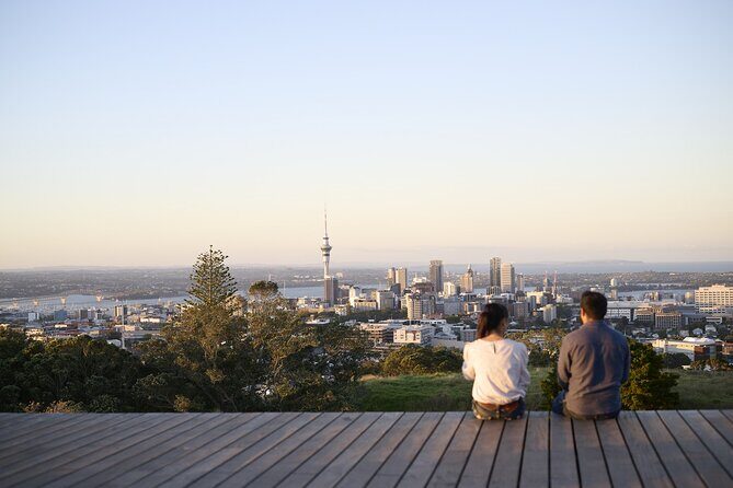 Half-Day Auckland City Sightseeing Small Group Tour - What’s Included and What’s Not