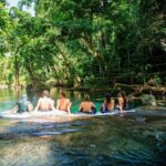Half Day Blue Lagoon and Cascades Tours - Practical Details and What to Expect