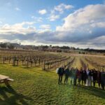 Half-Day Canberra Winery Tour to Murrumbateman - Authentic Insights from Reviews