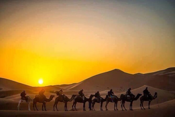 Half Day City Tour of Jaisalmer visit Sunset by Camel Ride with Dinner - What Sets This Tour Apart?