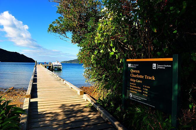Half-Day Cruise in Marlborough Sounds from Picton - The Sum Up