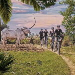 Half-Day Cycling to Discover Battambang's Rural Livelihoods - Exploring Battambang’s Rural Flavors on Two Wheels