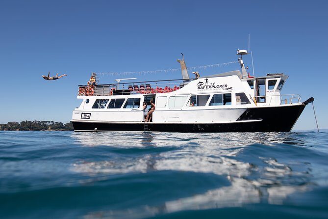 Half Day Dolphin Watching Cruise (Departing from Rotorua) - The Sum Up: Why Choose This Cruise?