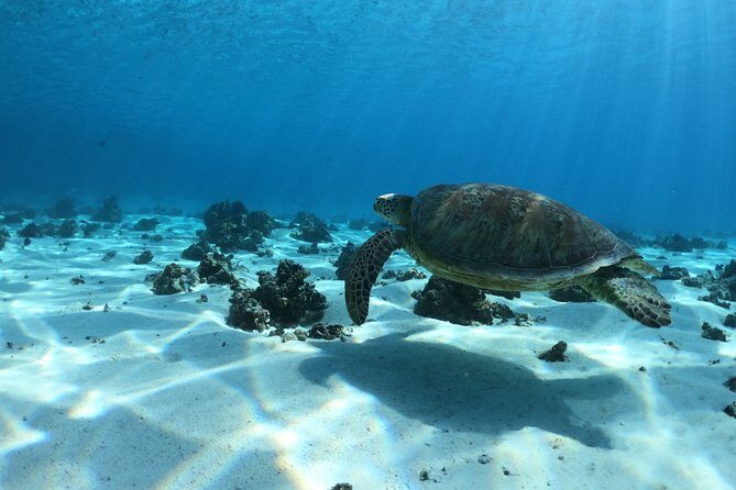 Half day Excursion, Drift Snorkeling Lagoon Adventure. 3H - The Itinerary Breakdown