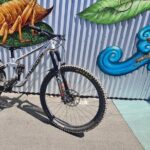 Half Day Full Suspension Acoustic Mountain Bike Rental - Exploring Nelson’s Mountain Biking Scene