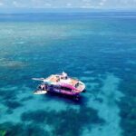 Half Day Great Barrier Reef Snorkeling Tour - Reaching the Reef’s Best Spots: Exclusive Moorings