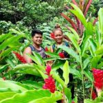 Half-Day Guided Hike to Afareaitu Waterfall - Authentic Experiences and Authentic Guides