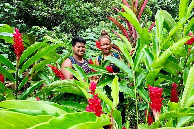Half-Day Guided Hike to Afareaitu Waterfall - Authentic Experiences and Authentic Guides