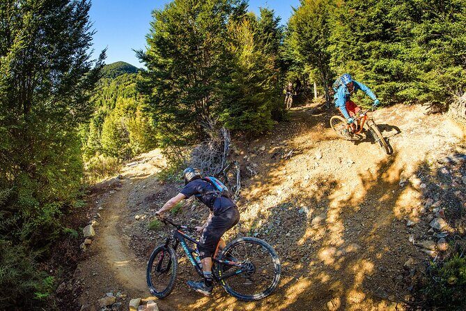 Half Day Guided Mountain Biking Adventure in Nelson - The Sum Up: The Value of a Guided Mountain Biking Experience in Nelson