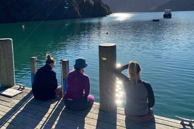Half-Day Guided Sea Kayak Trip from Picton - Who Will Love This Tour?
