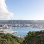 Half Day Guided Tour in Wellington including Cable Car - Who Will Love This Tour?