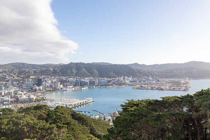 Half Day Guided Tour in Wellington including Cable Car - Who Will Love This Tour?