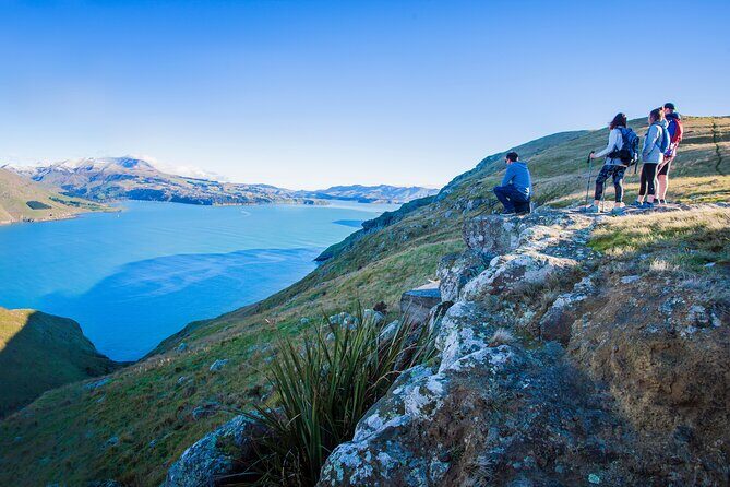 Half Day Guided Walking Tour on Banks Peninsula - Analyzing the Value