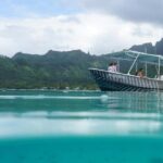 Half-Day Humpback Whales Encounter in Moorea - The Value in Your Investment