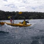 Half-Day Kayak to the Maori Rock Carvings in Lake Taupo - Authenticity & Unique Aspects