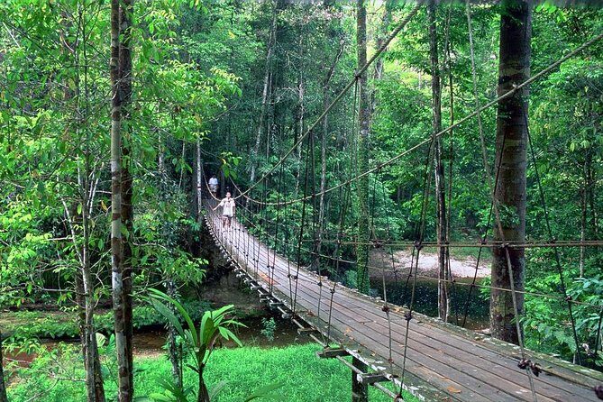 Half-Day Lambir Hills National Park Tour from Miri - Exploring the Itinerary: What to Expect at Each Stop