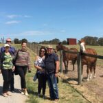 Half Day Living Legends tour with Devonshire Tea - What Travelers Are Saying