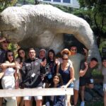 Half Day Lord of the Rings Tour - Transportation and Practicalities