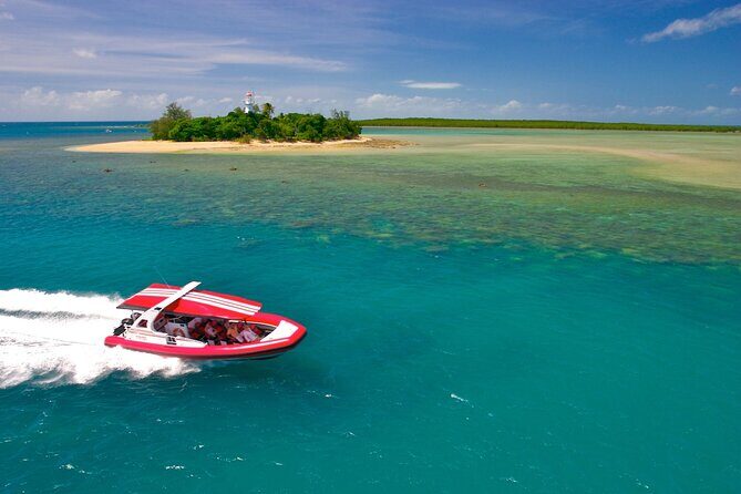 Half Day Low Island and Lagoon Snorkeling from Port Douglas - The Sum Up: Is This Tour Worth It?