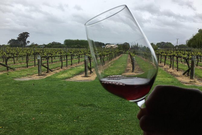 Half-Day Marlborough Wine Tour & Beer Tour - Who Should Consider This Tour?