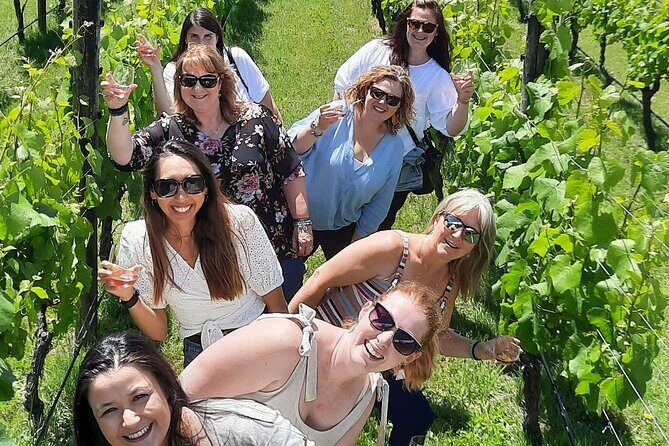 Half Day Martinborough Winery Tour from Wellington - The First Stop: Remutaka Hill