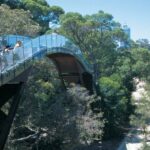 Half-Day Morning Perth & Fremantle City Explorer - Who Should Consider This Tour?