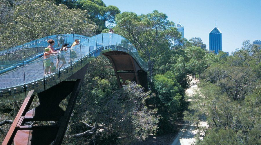 Half-Day Morning Perth & Fremantle City Explorer - Who Should Consider This Tour?